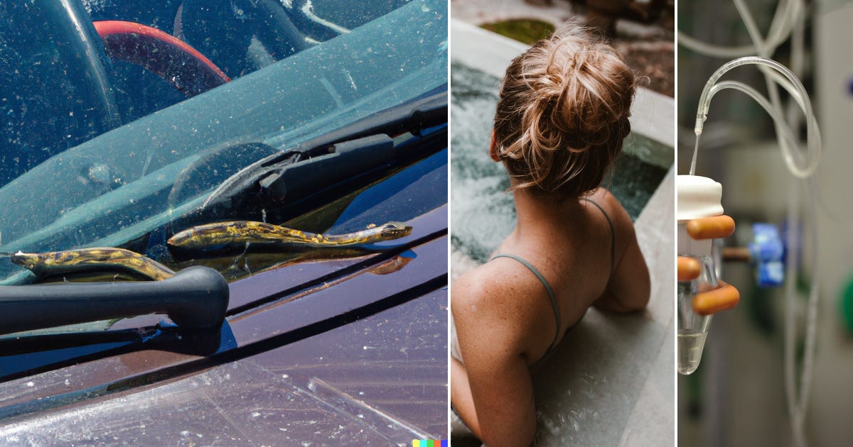 List: Python | Curated by Jim McAulay🍁 | Medium