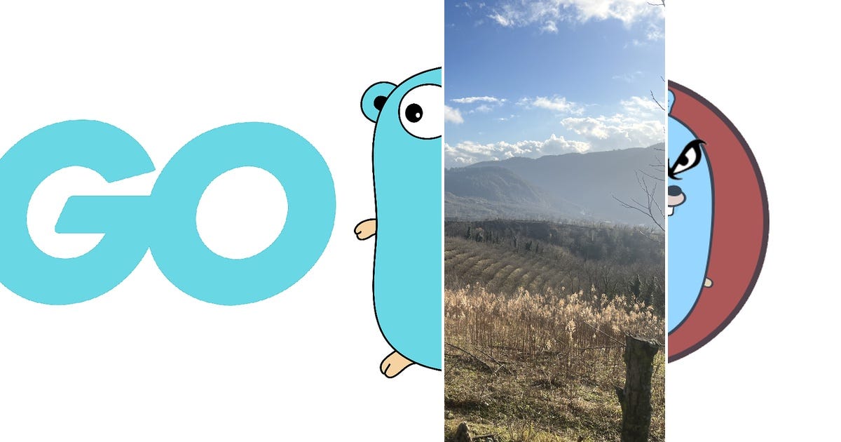 List: Golang | Curated by Gowtham | Medium