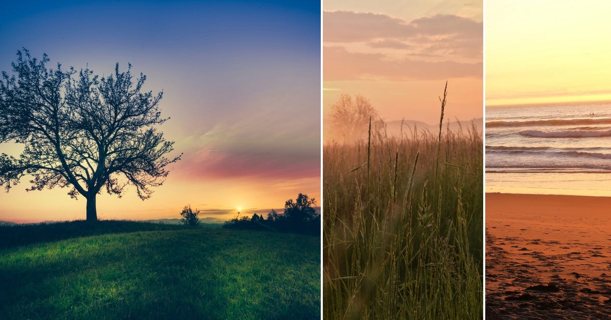 List: German Poems | Curated by Maximilian Breboeck | Medium