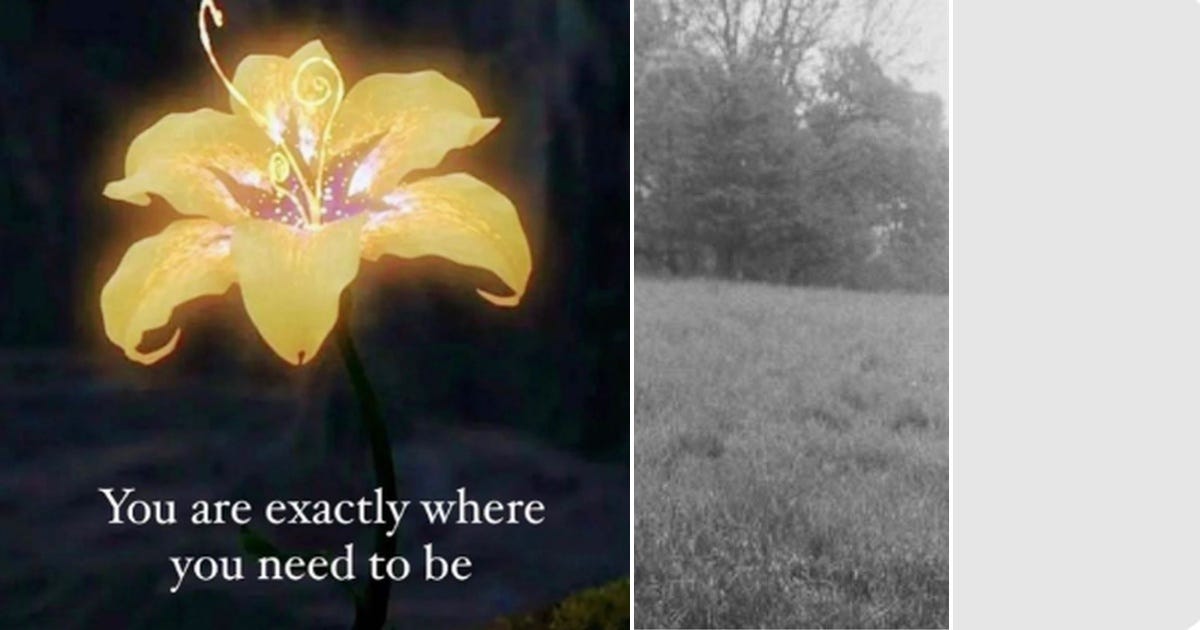 List: Articles I'll read over and over again. | Curated by Leona 𐙚 | Medium