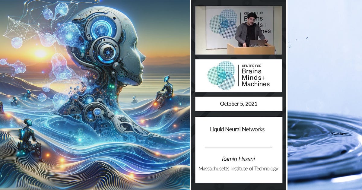 List: LiquidNeuralNetworks | Curated by Kaspar A. Schindler | Medium