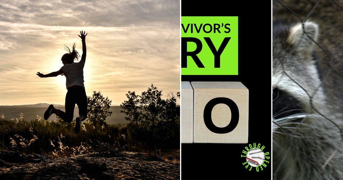 List: Wednesday Warriors Reading list | Curated by Victim To Warrior ...