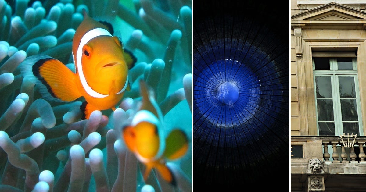 List: Read | Curated by Asma Mansouri | Medium