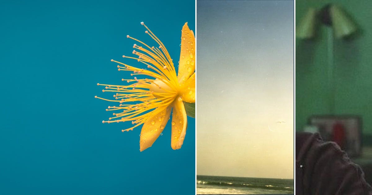 List: Fin | Curated by ㅤ | Medium