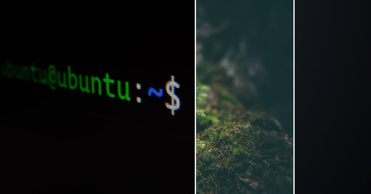 List: bash | Curated by /Brian/Clancy | Medium