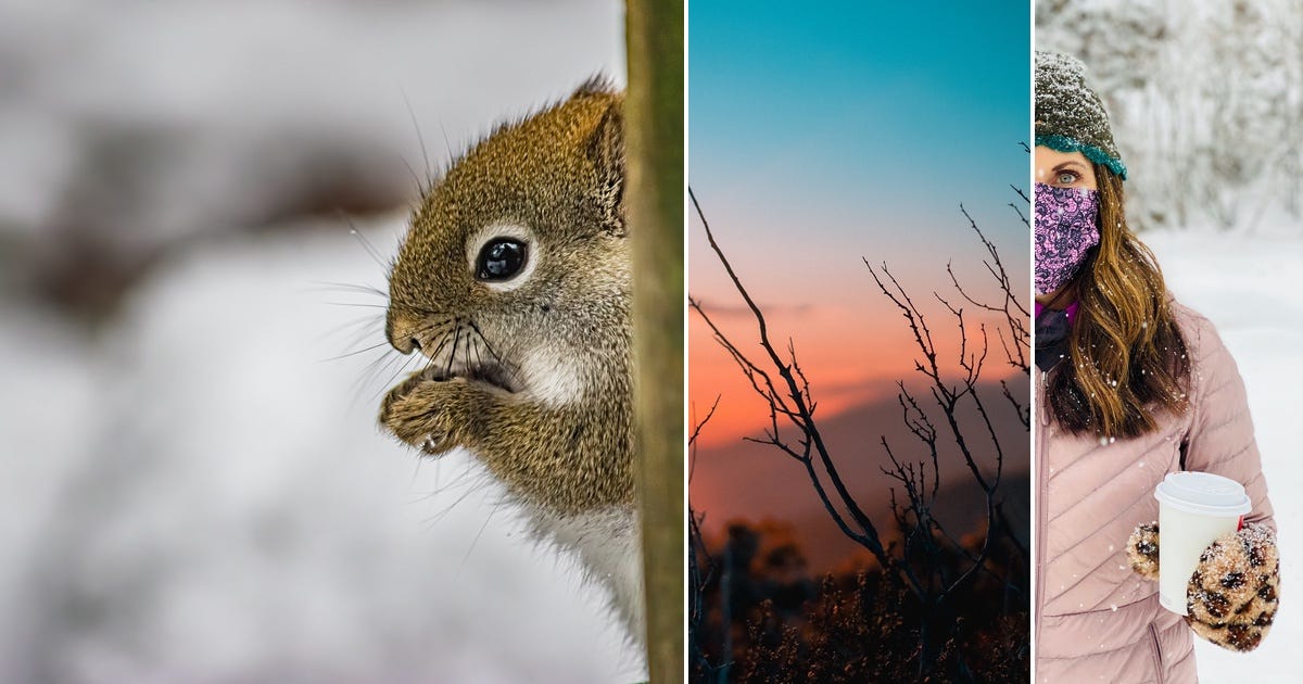 List: Poems by Anthony Signorelli | Curated by Anthony Signorelli | Medium