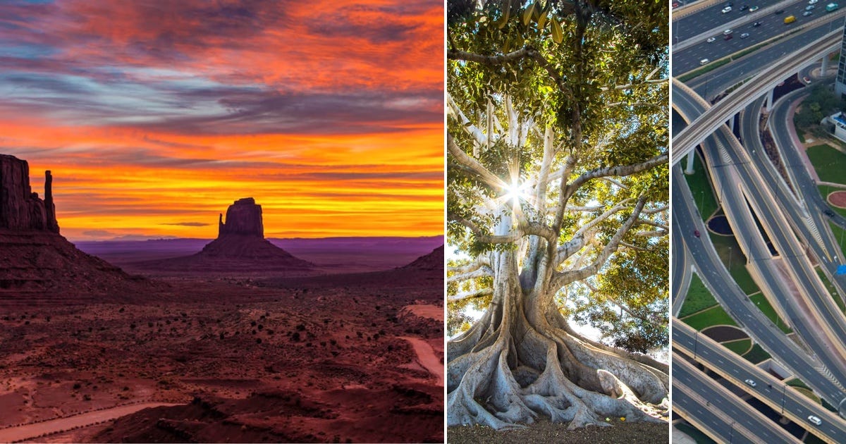 List: Shifting Timelines | Curated by Hillary Mozeik 🦋 | Medium