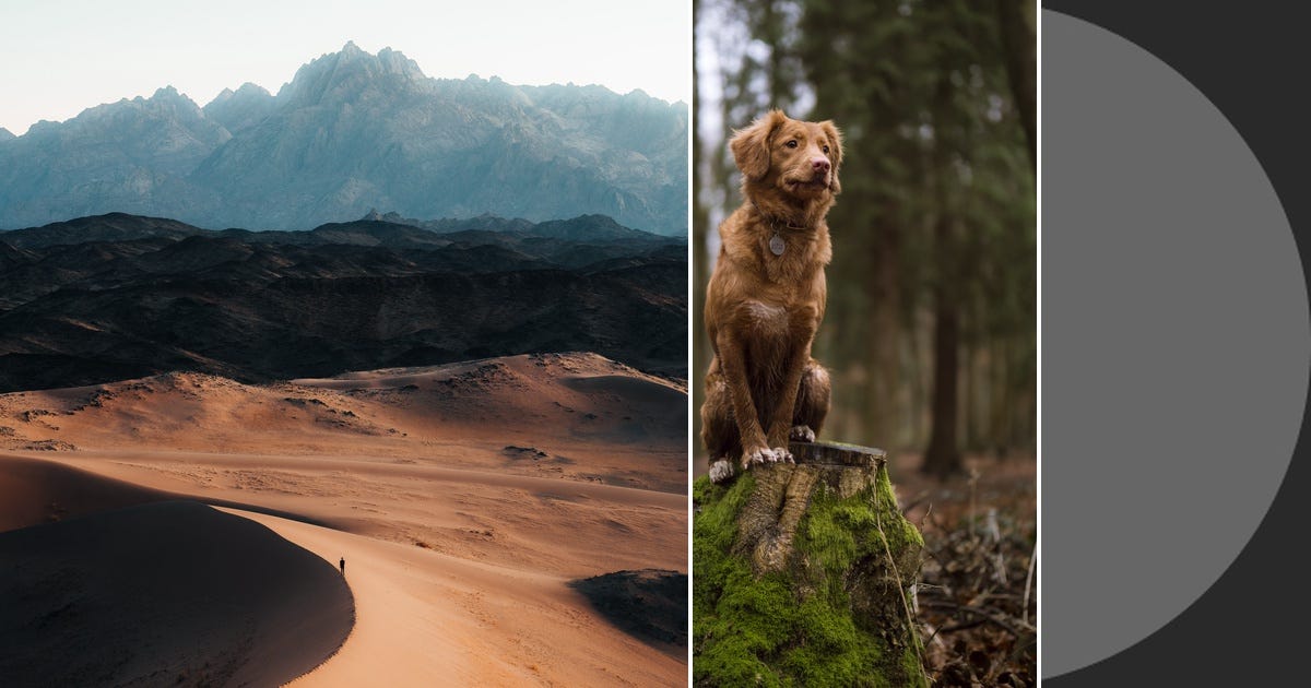 List: Logging | Curated by Adrian Alejandro Garay | Medium