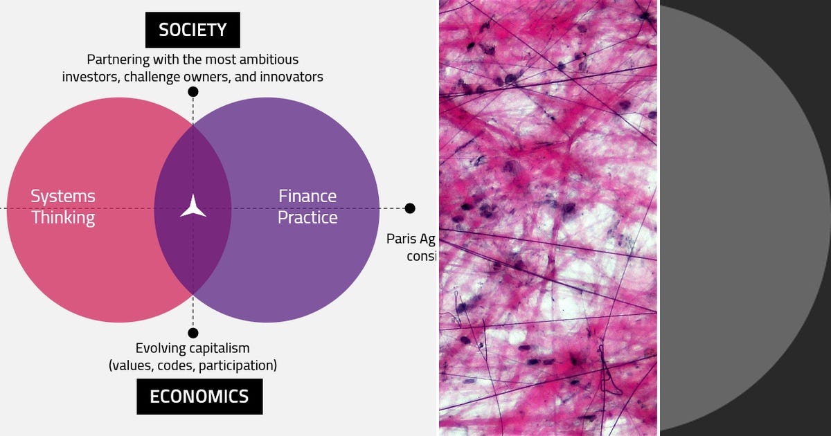 List: Reading list | Curated by Genevieve Mortimer | Medium