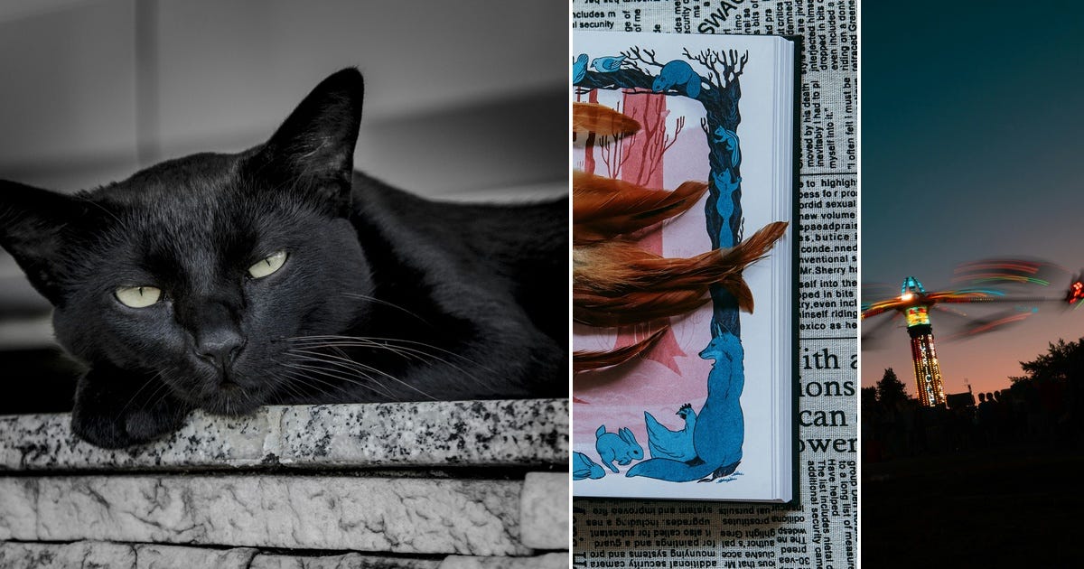 List: My Boosted Poems | Curated by Jibril 📚 | Medium