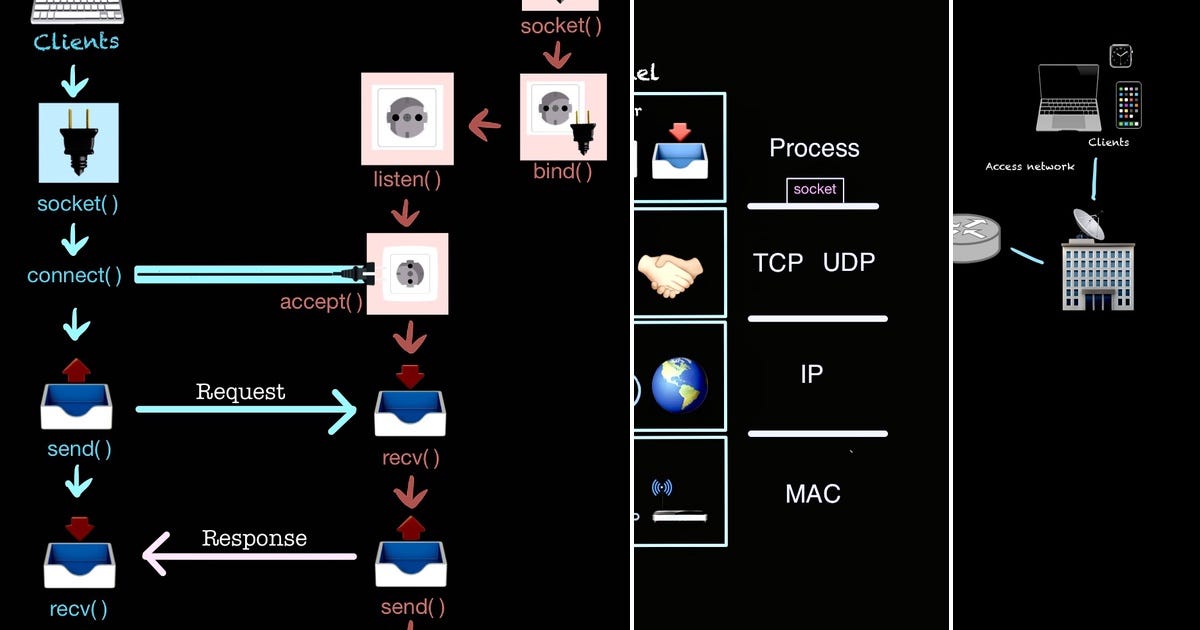 List: Network | Curated by Whaleshade | Medium