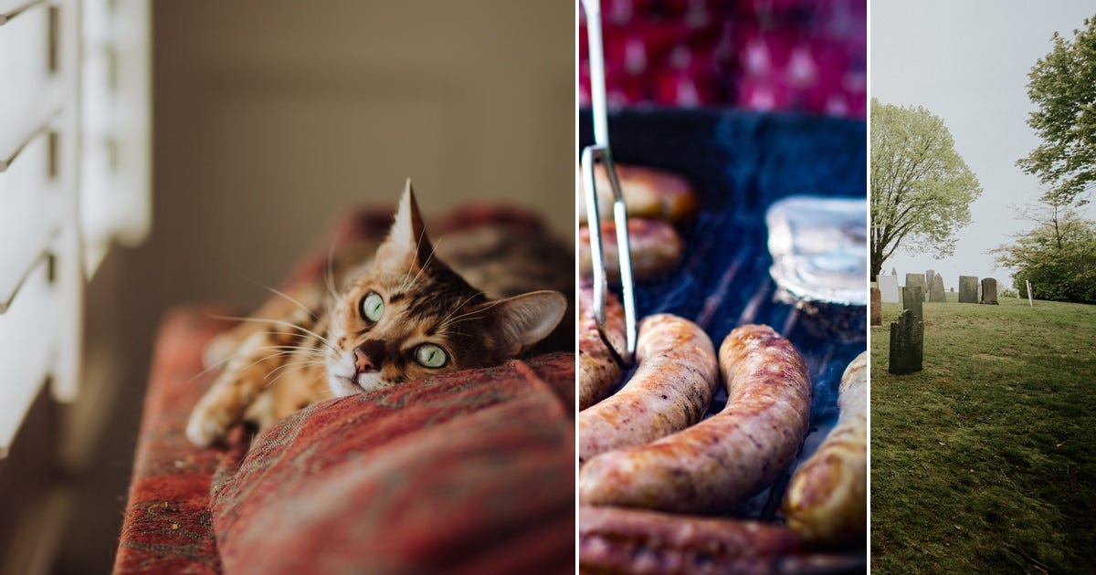 List: Book Excerpts | Curated by Ellie Scott | Medium