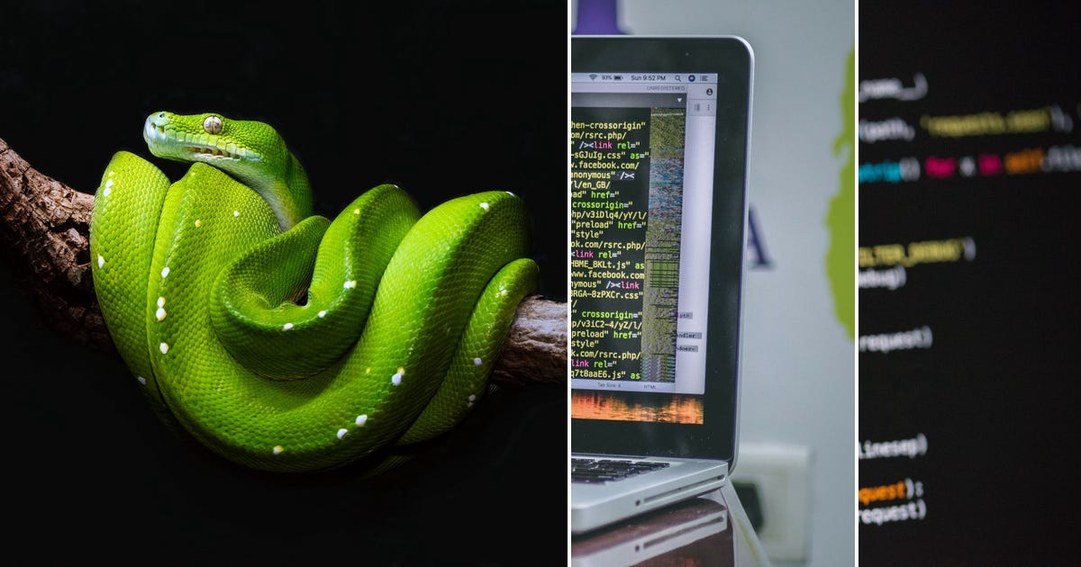 List: Python | Curated by Bertill Browne | Medium