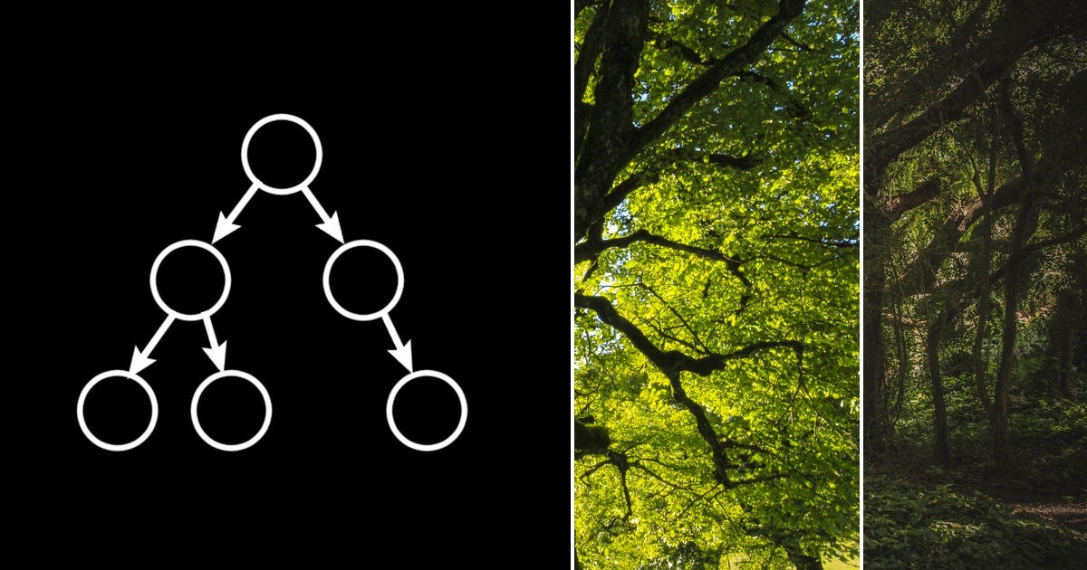 List: Trees | Curated by Willgardt | Medium