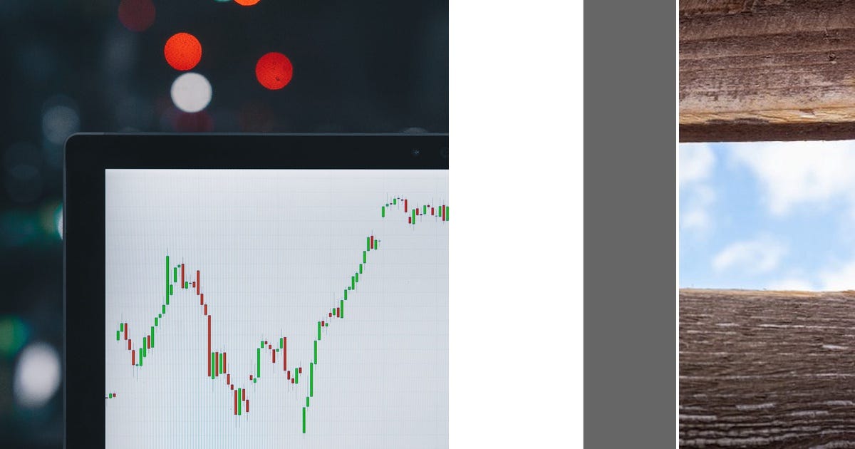 List: Alpaca | Curated by Patrik Hellstrand | Medium