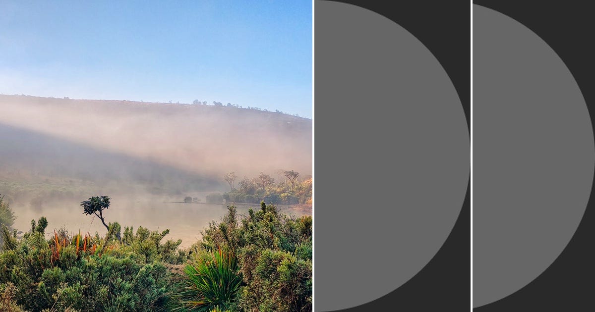 List: LB | Curated by yang liu | Medium