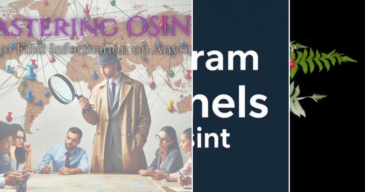 List: OSINT Training | Curated by Paul Wright | Medium