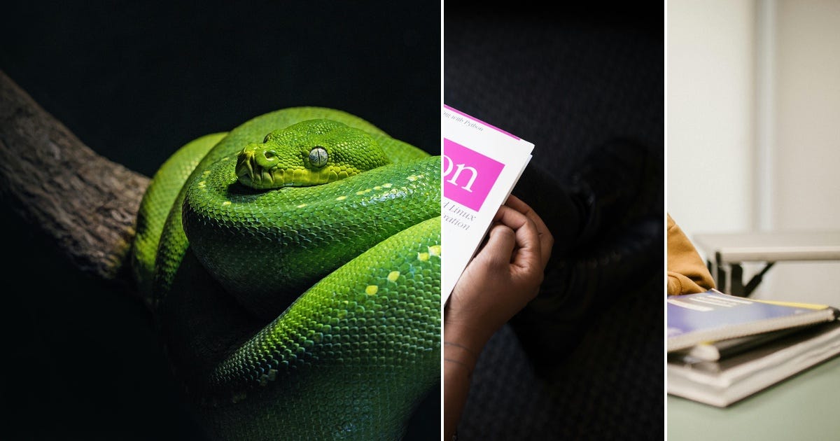 List: Python | Curated by David Maxwell | Medium