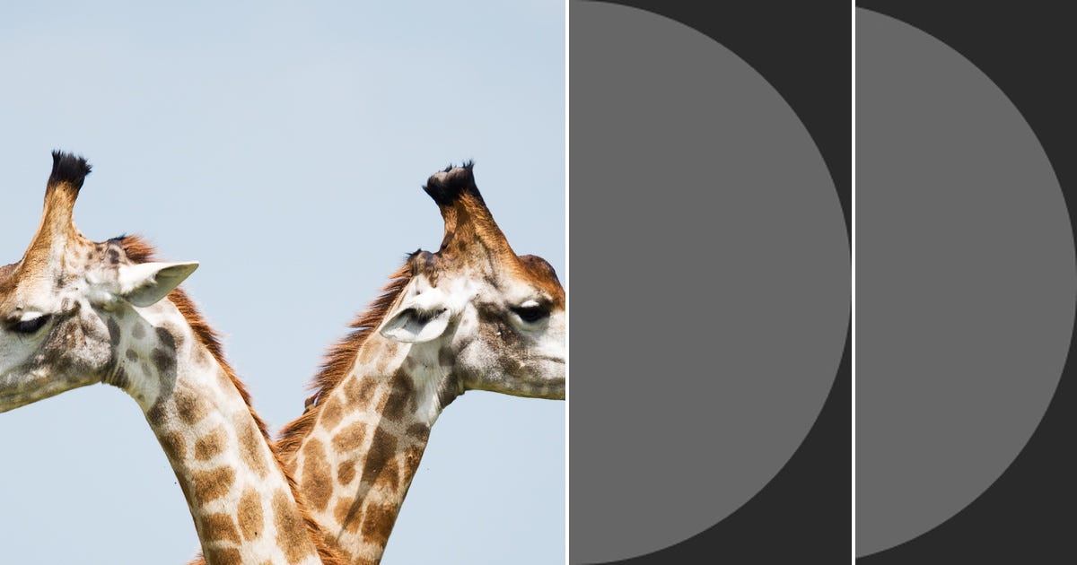 List: Python Programming | Curated by Chris C | Medium