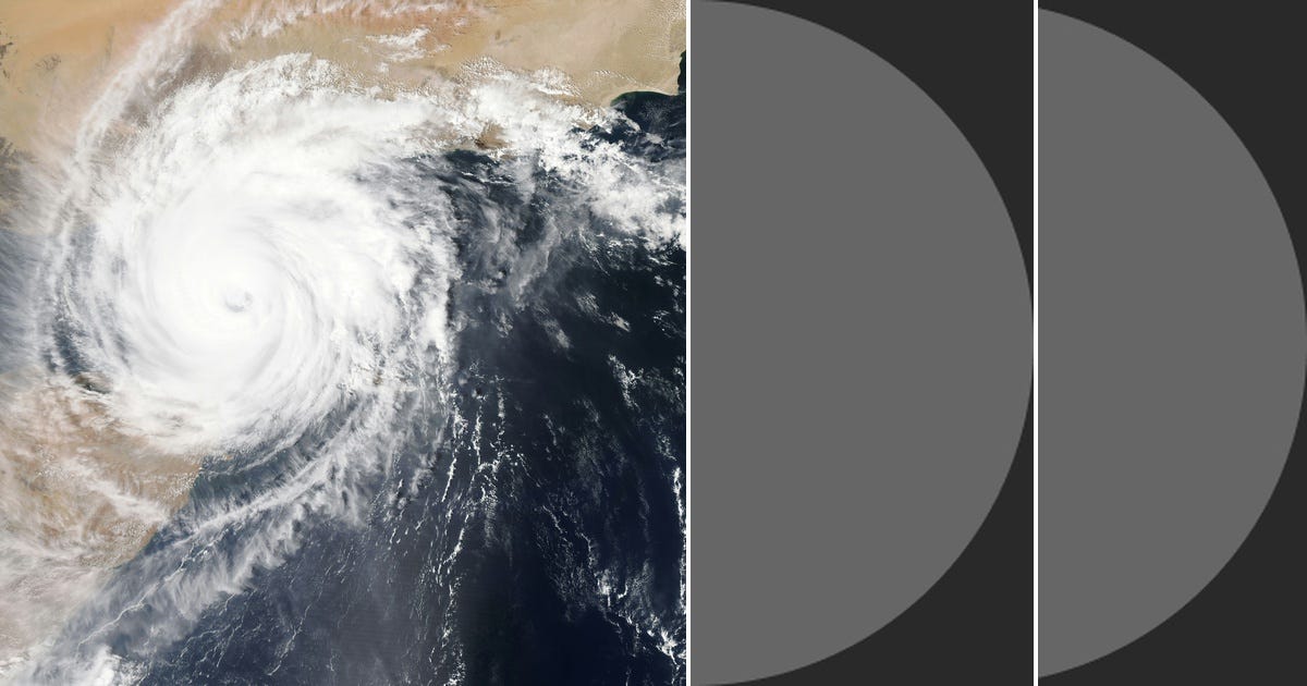 List: LIFE experience | Curated by THE HUMAN CORE | Medium