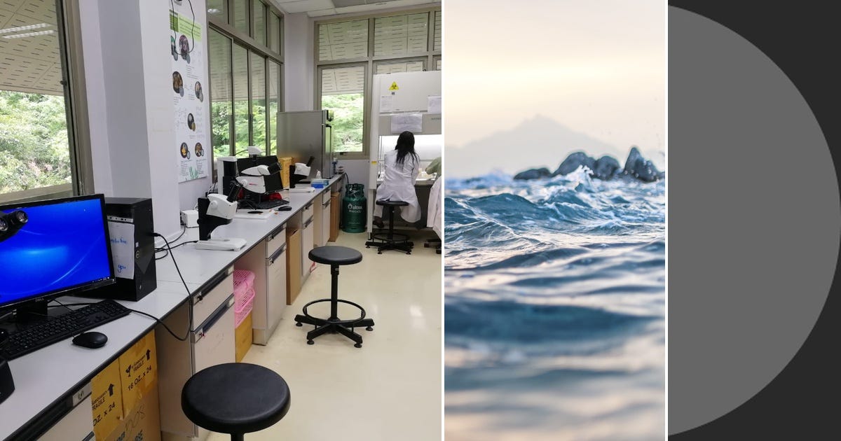 List: ocean plastic solutions | Curated by Camille Guitteau | Medium