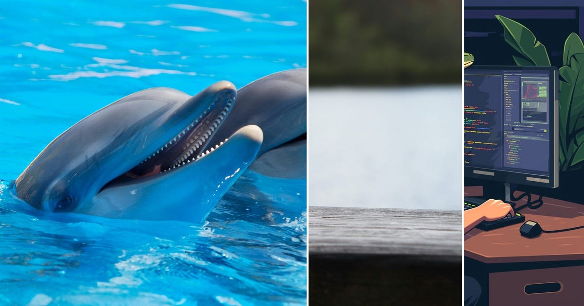 List: Useful | Curated by Virgil Bourassa | Medium