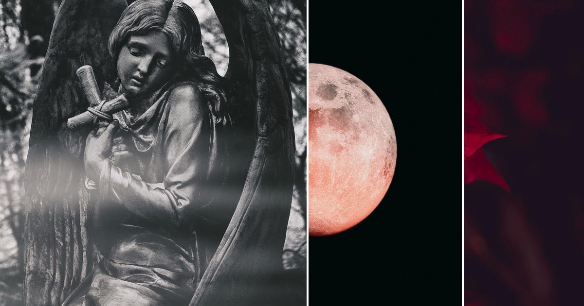 List: Gothic Vampire Romance (incomplete) | Curated by Gabriella Rivera | Medium