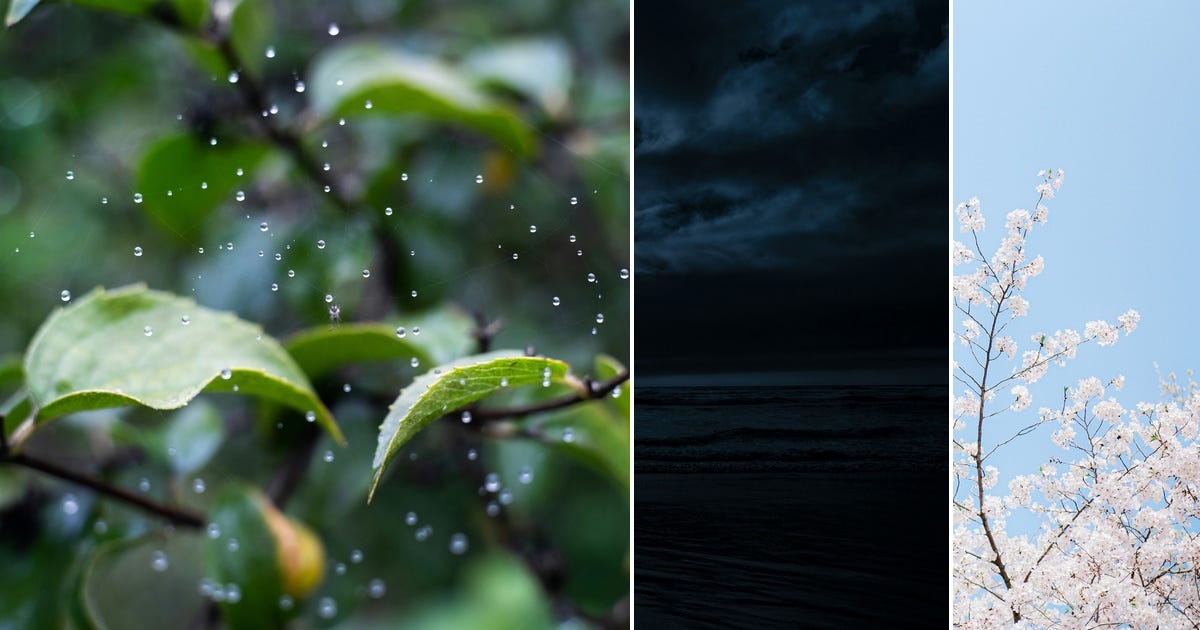 List: Haiku Series | Curated by Steamy Storyteller | Passion Through ...