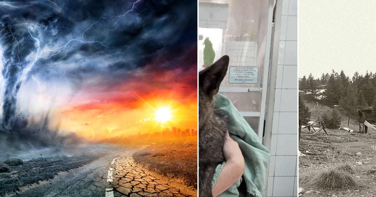 List: Environment | Curated by Doug Gill | Medium