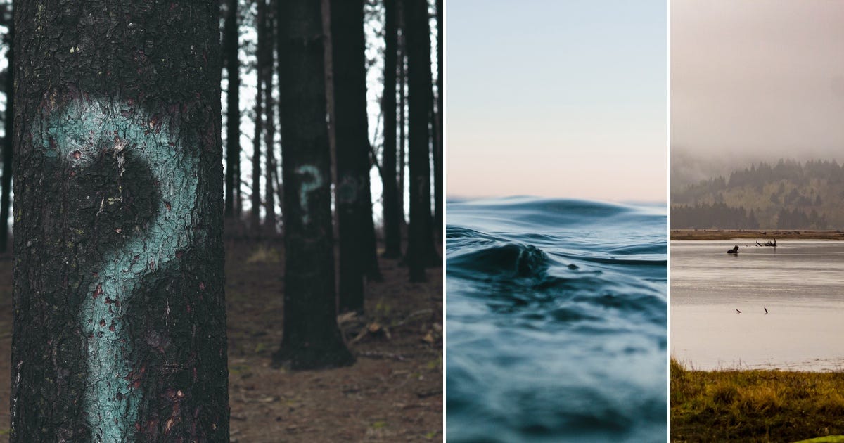 List: BLOGS | Curated by Audra Spangler | Medium