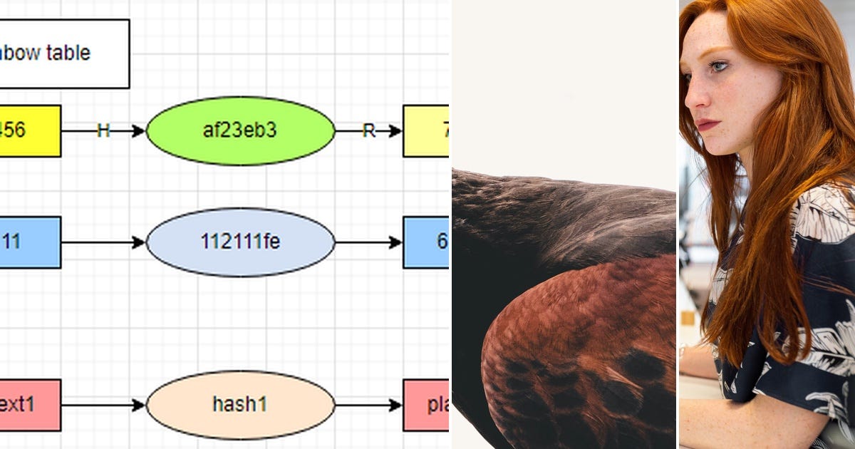 List: Medium Premium | Curated by Humberto Hechert | Medium