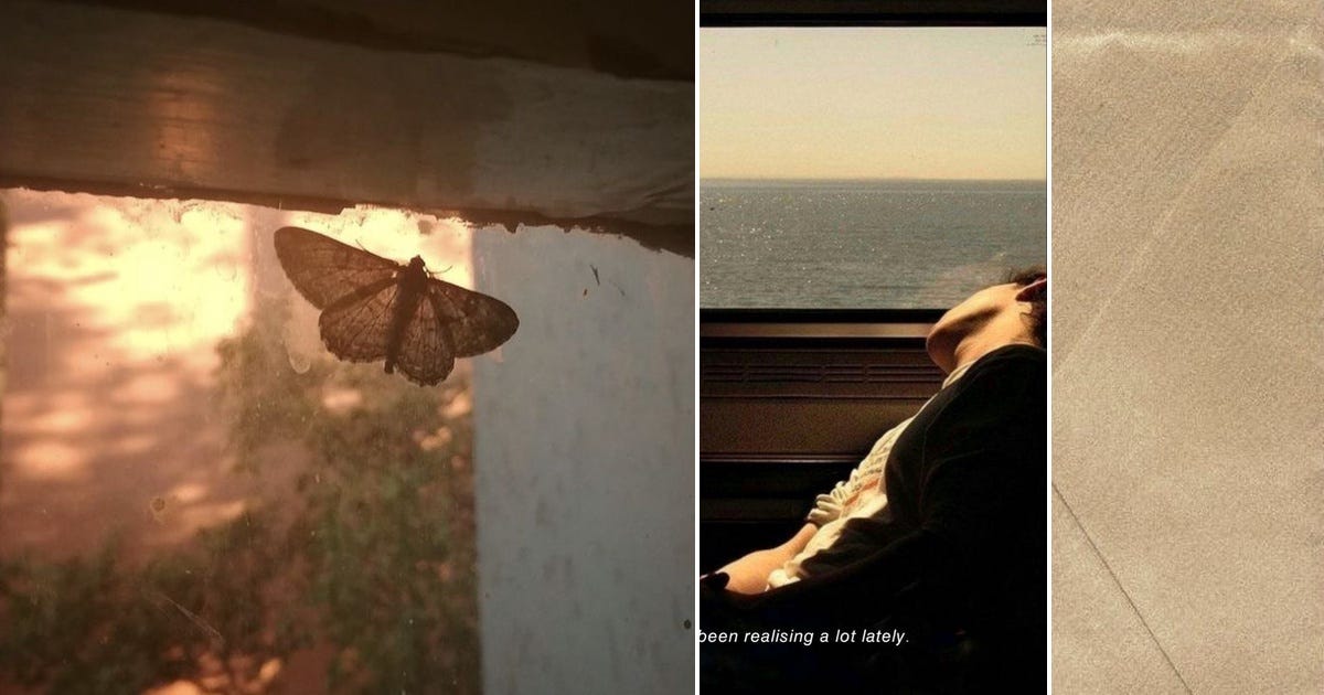 List: Fav | Curated by Jaya Kothari | Medium