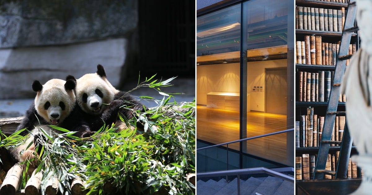 List: Pandas 101 | Curated by Ridho Aryo Pratama | Medium List: Pandas 101 | Curated by Ridho Aryo Pratama | Medium