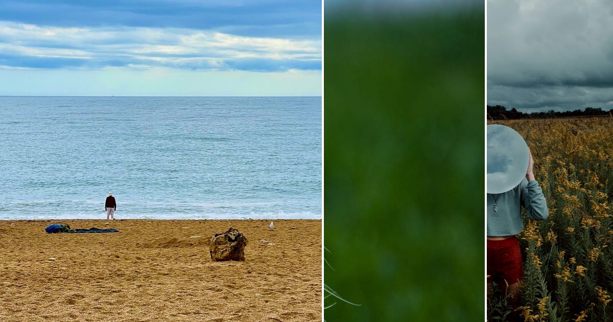 List: Self Image | Curated by Fran Shelley | Medium