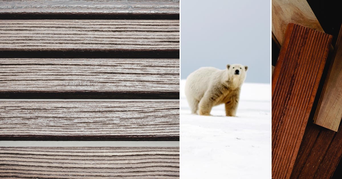 List: Parquet | Curated by Leonardo Enrique Cordero Jenkins | Medium