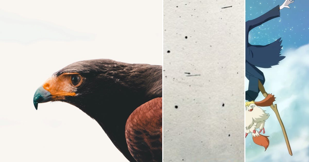 List: Favorite | Curated by Mansi Dixit | Medium