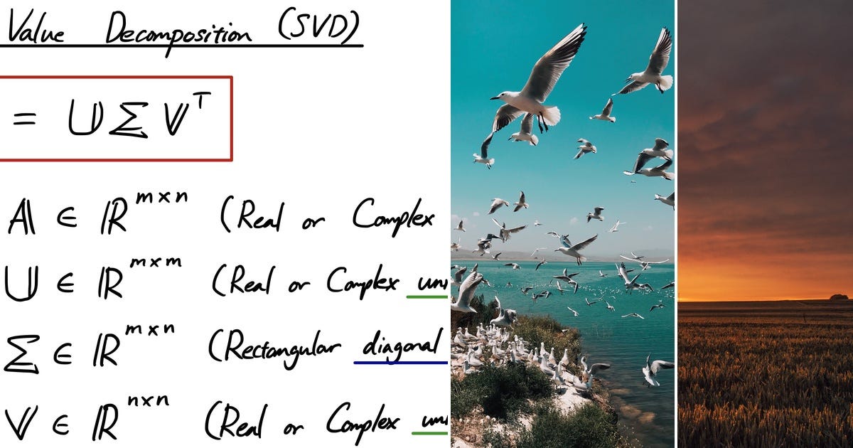 List: Dynamic Mode Decomposition | Curated by Fairuz Ishraque | Medium
