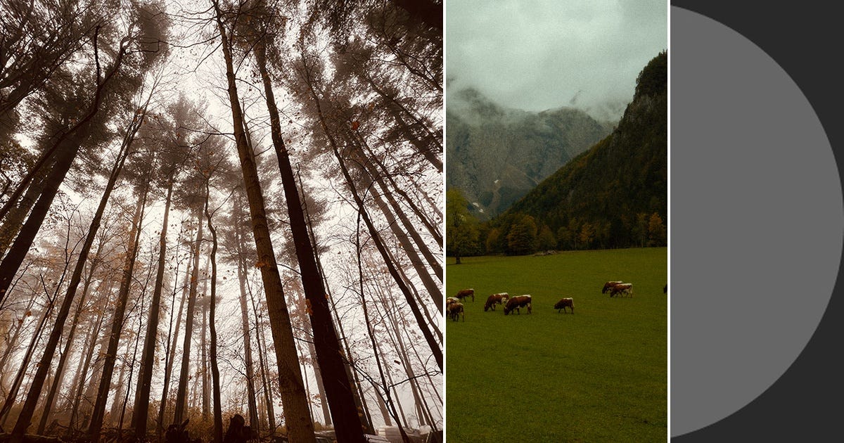 List: Photos | Curated by Amin Akbari | Medium