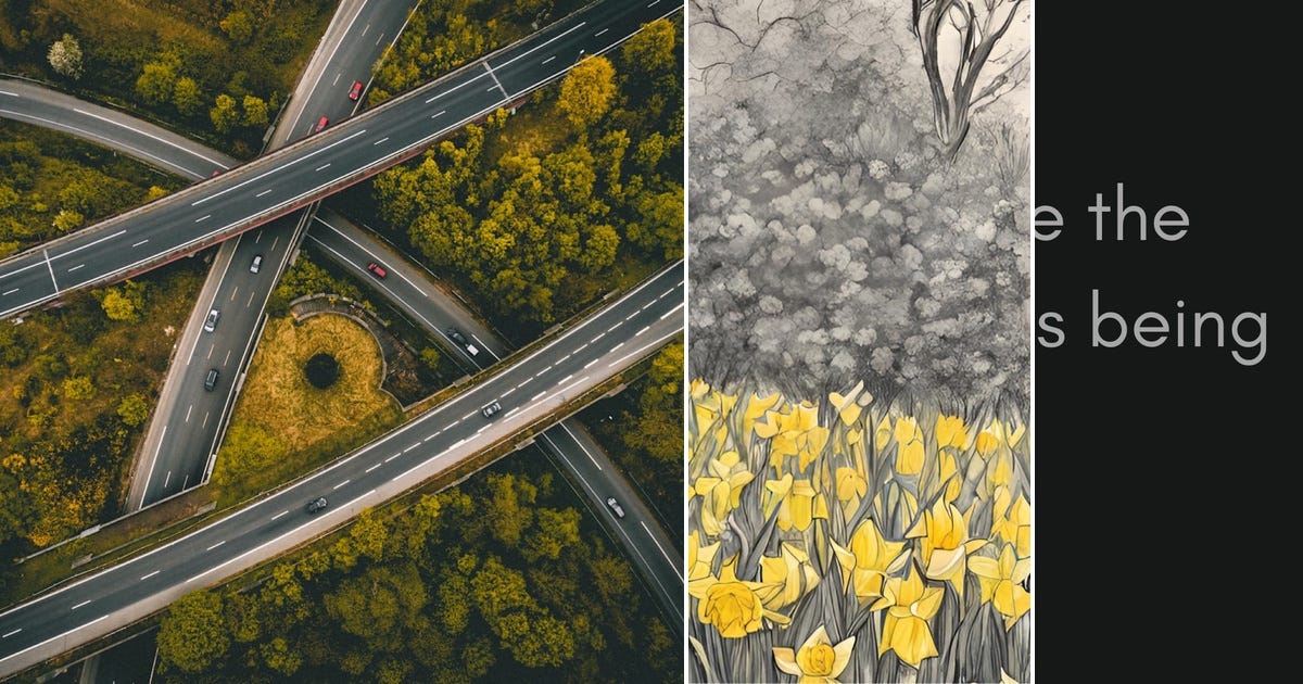 List: Essay content | Curated by Anamika | Medium