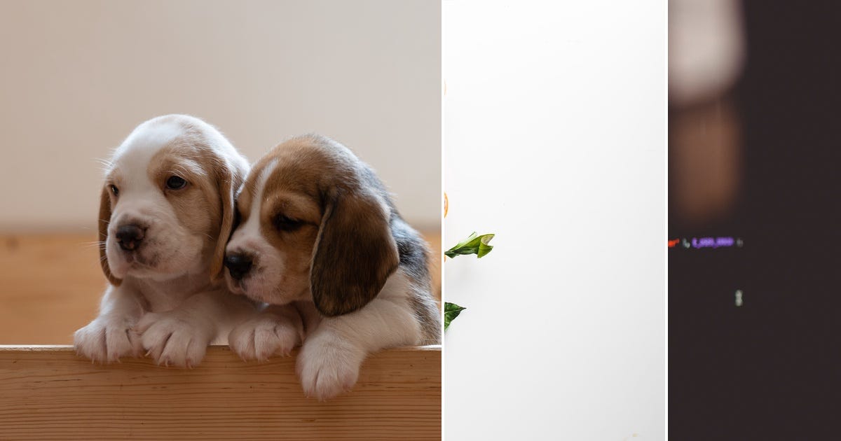 List: SQL | Curated by Damien Azzopardi | Medium