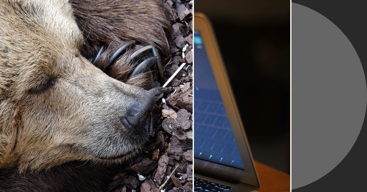 List: multiprocessing | Curated by Zur Hanin | Medium