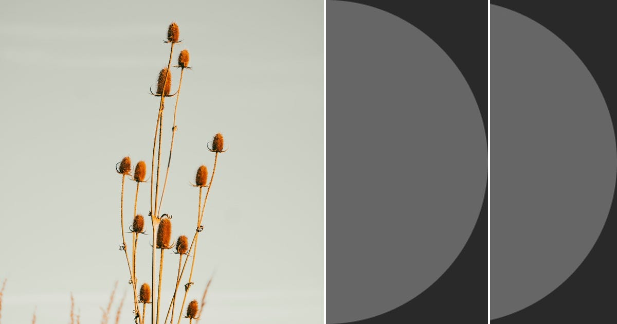 List: Anna Radowski | Curated by Tarrancaldwell | Medium