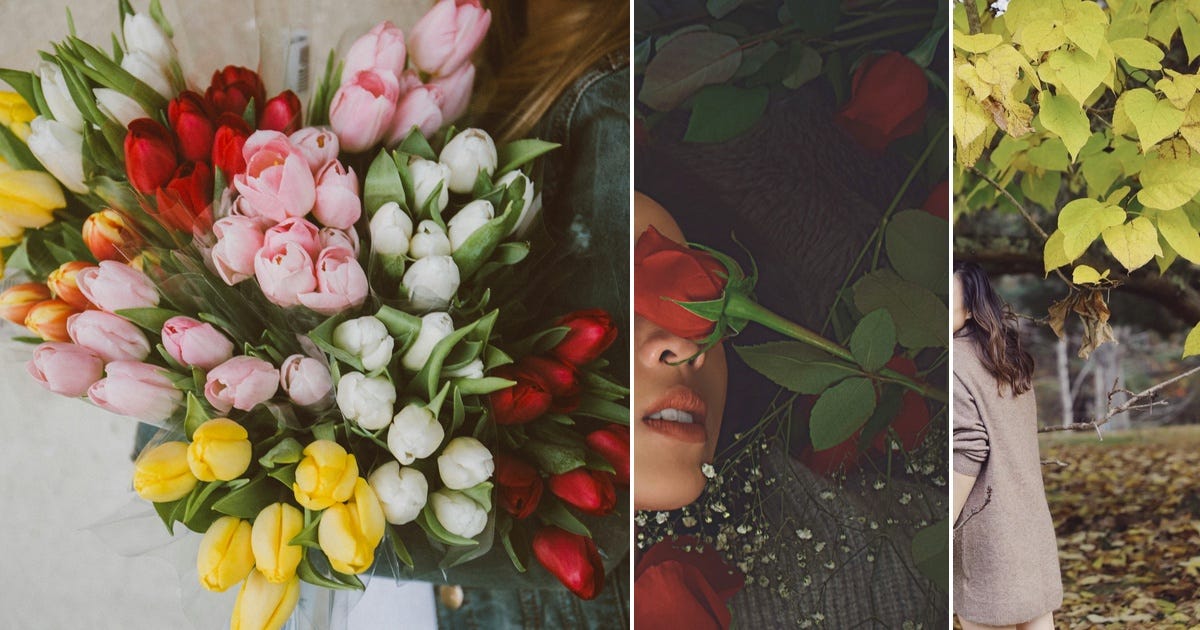 List: Love. | Curated by Tracy Ly | Medium