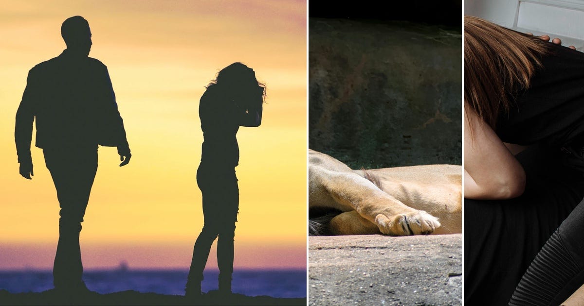 List: Relationships | Curated by Reed Merritt | Medium