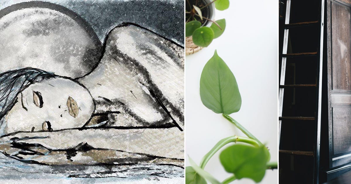 List: Publication Pieces | Curated by Red Sevin | Medium