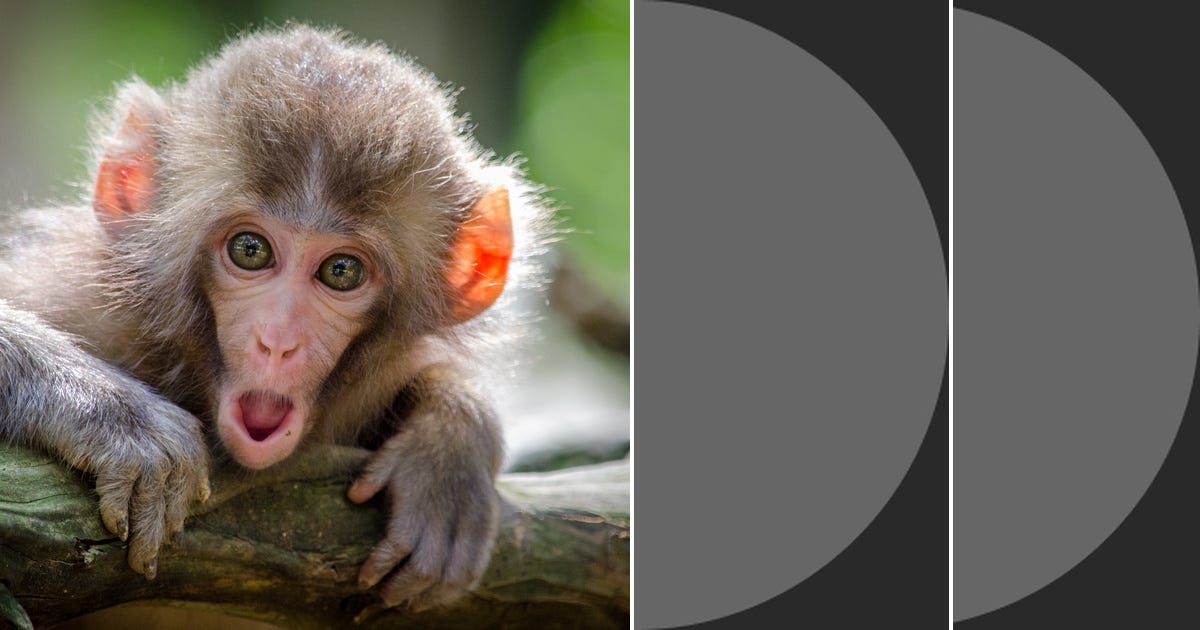 List: Java Threading | Curated by Vamsi Krishna Gunturu | Medium