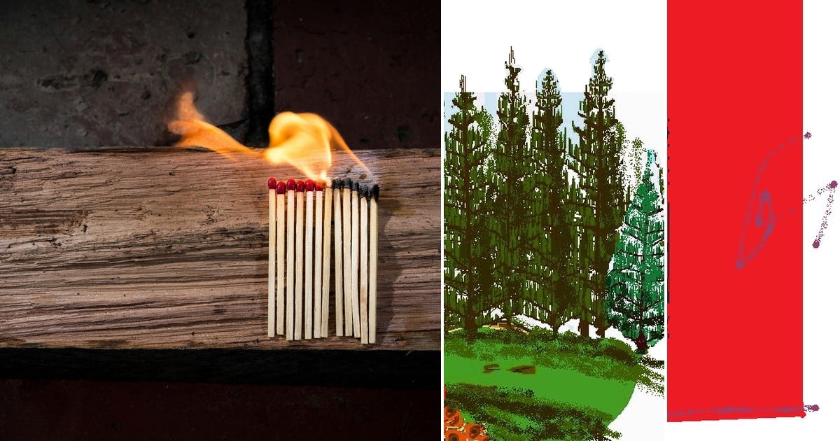 List: 💮Compass Within a Rose | Curated by Jaylee Reign | Medium