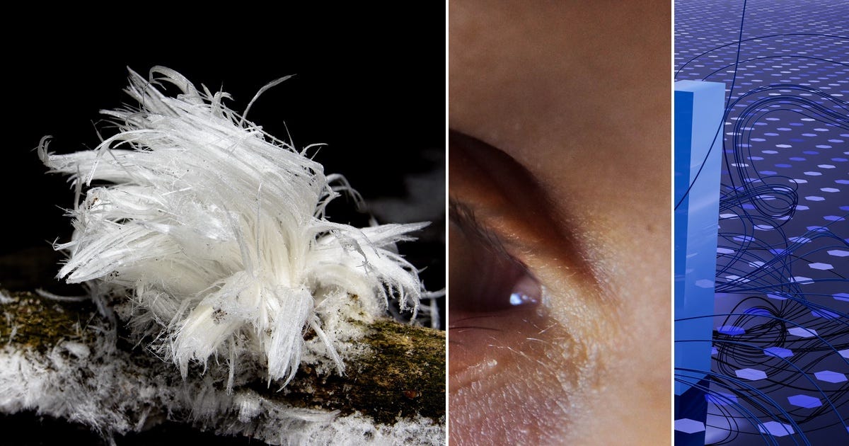 List: Photography in General | Curated by Mark Overmars | Medium