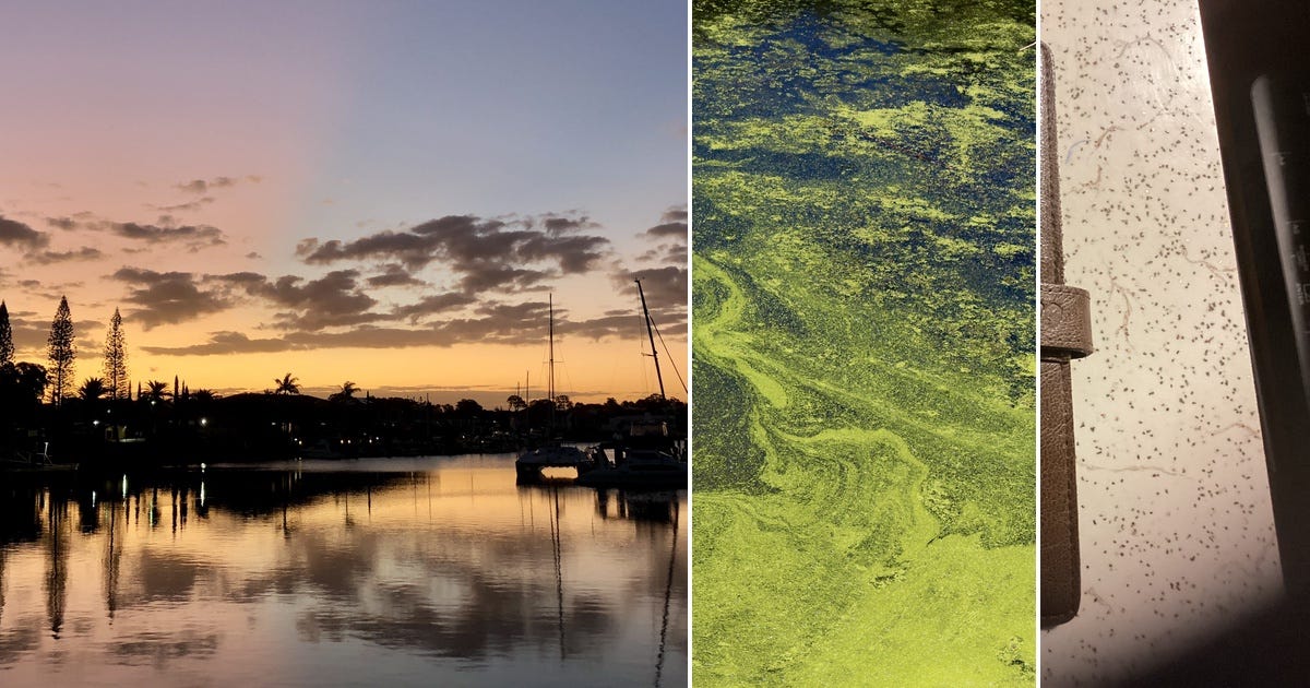 List: Handwriting vs Typing | Curated by Sourav Ghosh | Medium