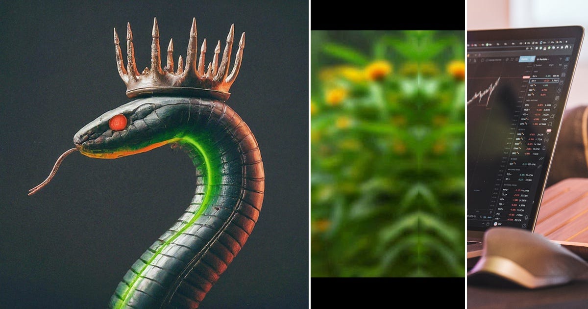 List: Timeseries | Curated by Ikaro Silva | Medium